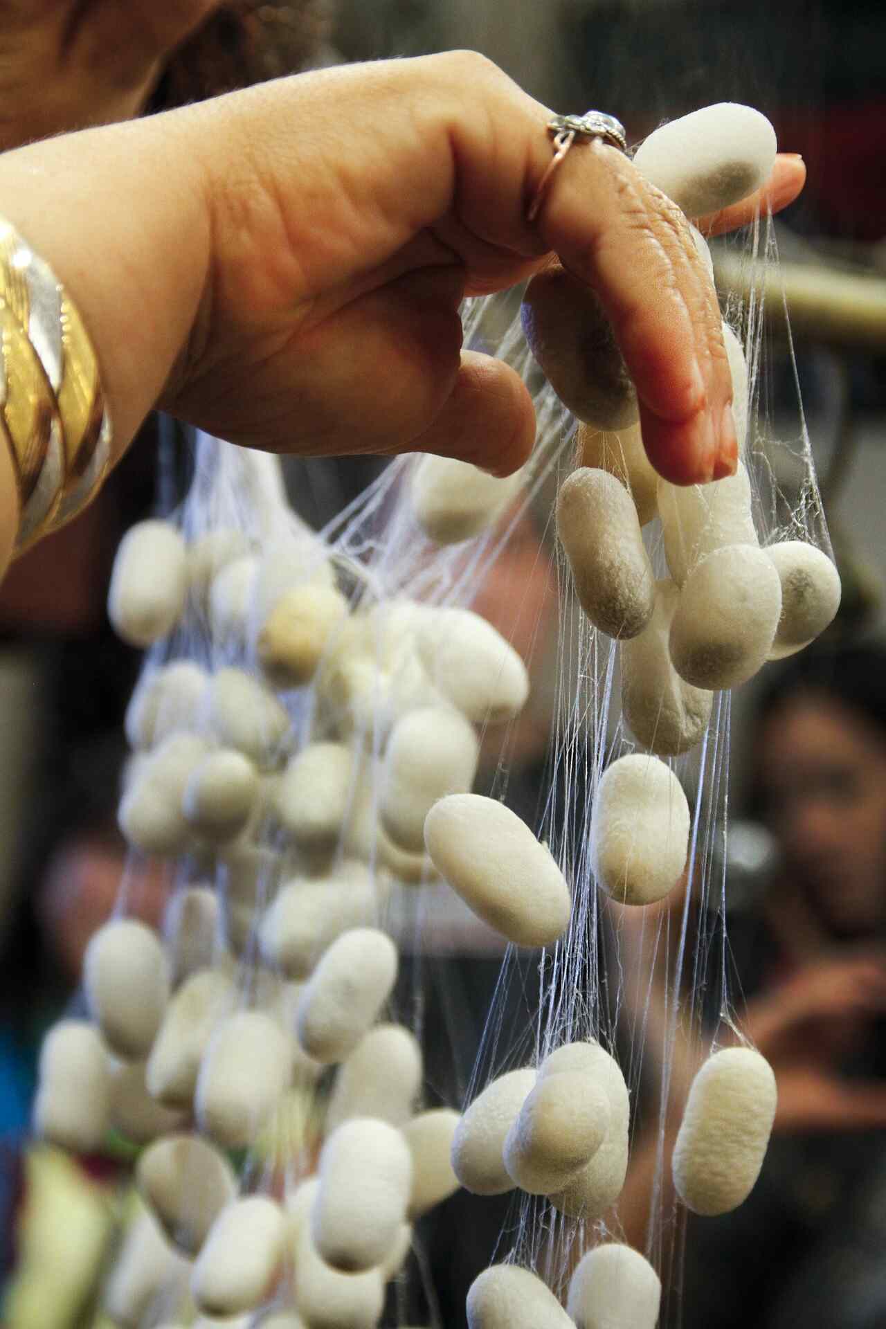 A List Of Best Natural Fabrics Names & Qualities In Market